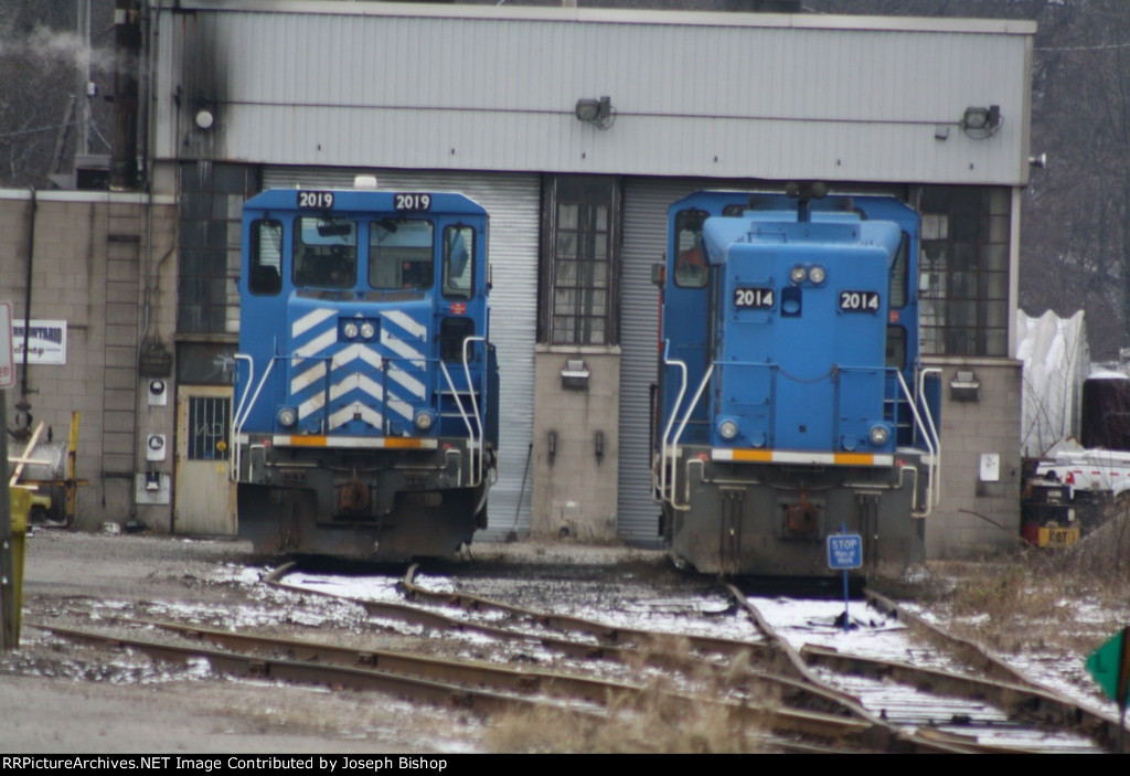 CEFX 2019 and 2014 at the shops